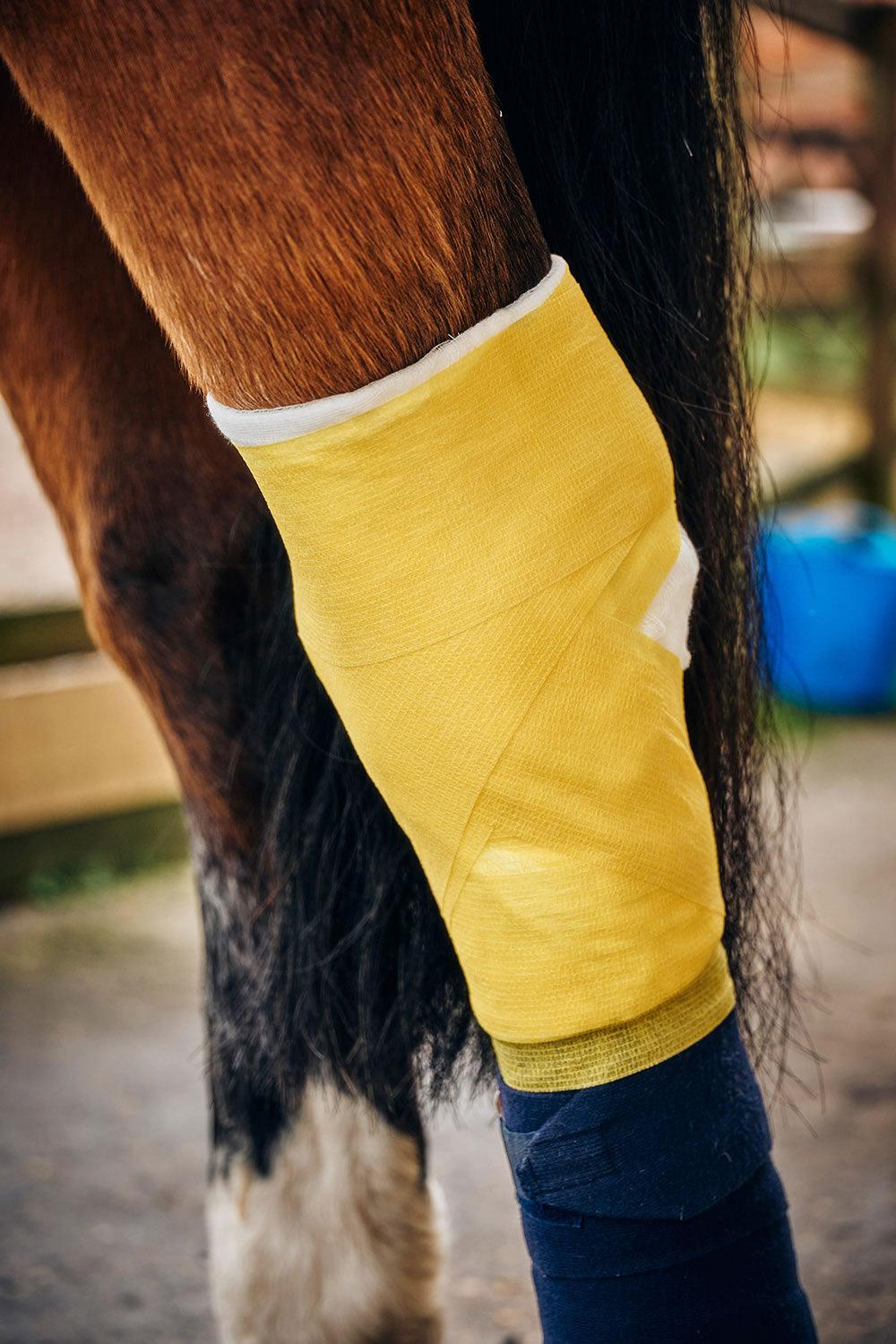 Robinsons Healthcare Equiwrap Bandage 10 Cm X 4.5 M Yellow – Ormskirk Pets