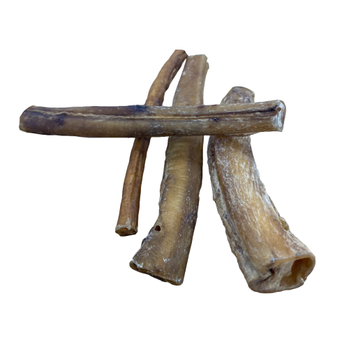 Healthy Paws Buffalo Pizzle 6 Inch 500g Bag – Ormskirk Pets