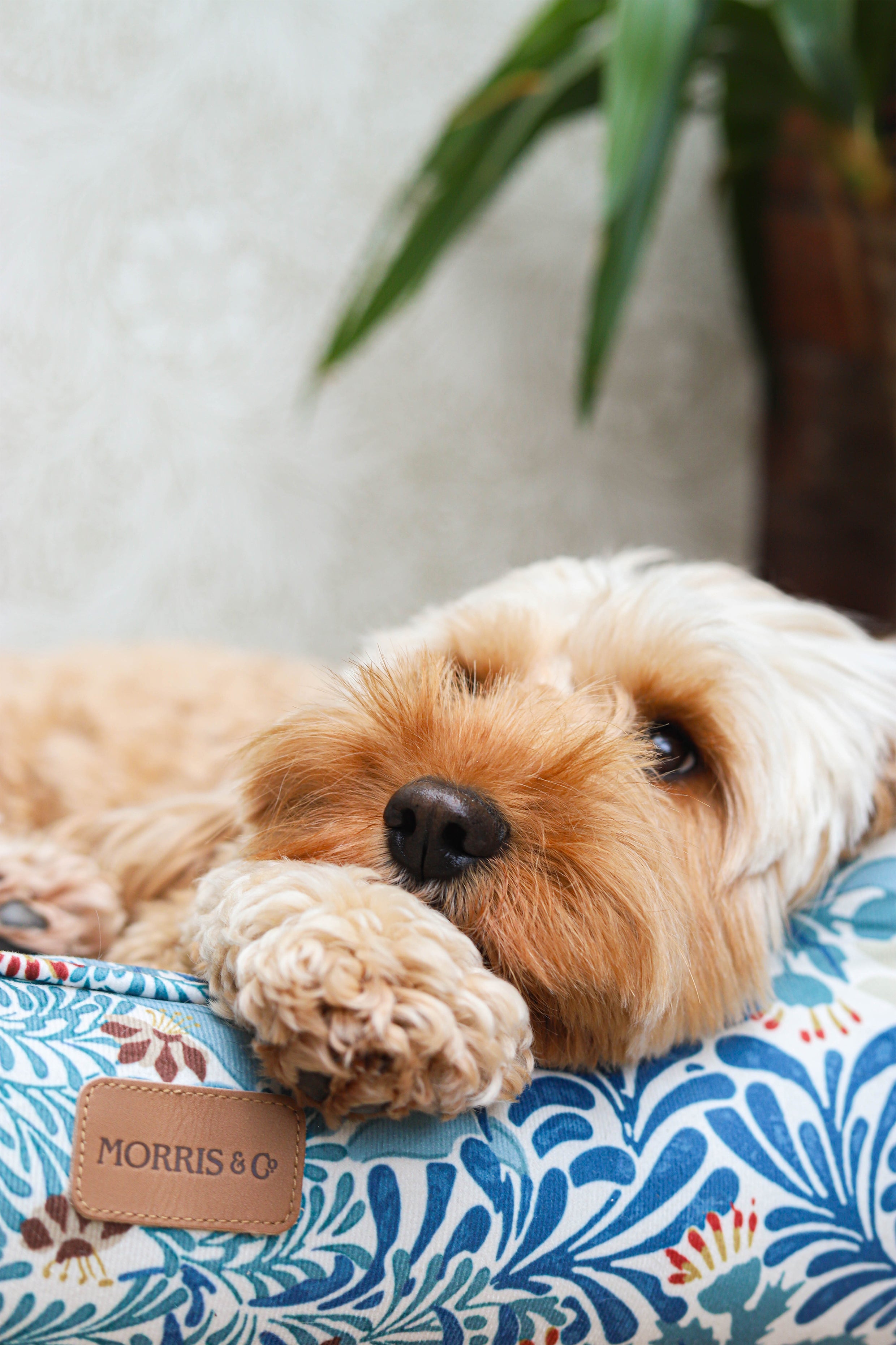 William Morris Square Dog Bed Bower Print – Ormskirk Pets