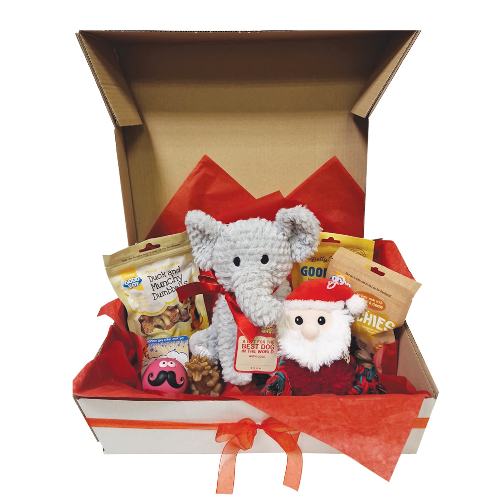 Doggy Christmas Hamper Box Budget – Ormskirk Pets
